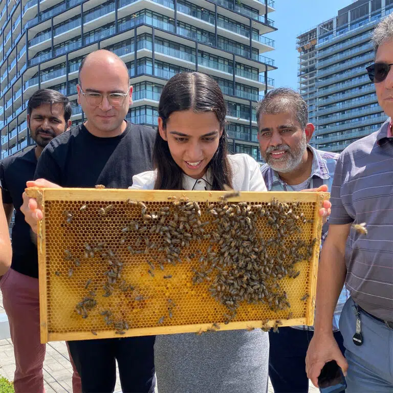 Nature-based solutions for commercial buildings | Alvéole