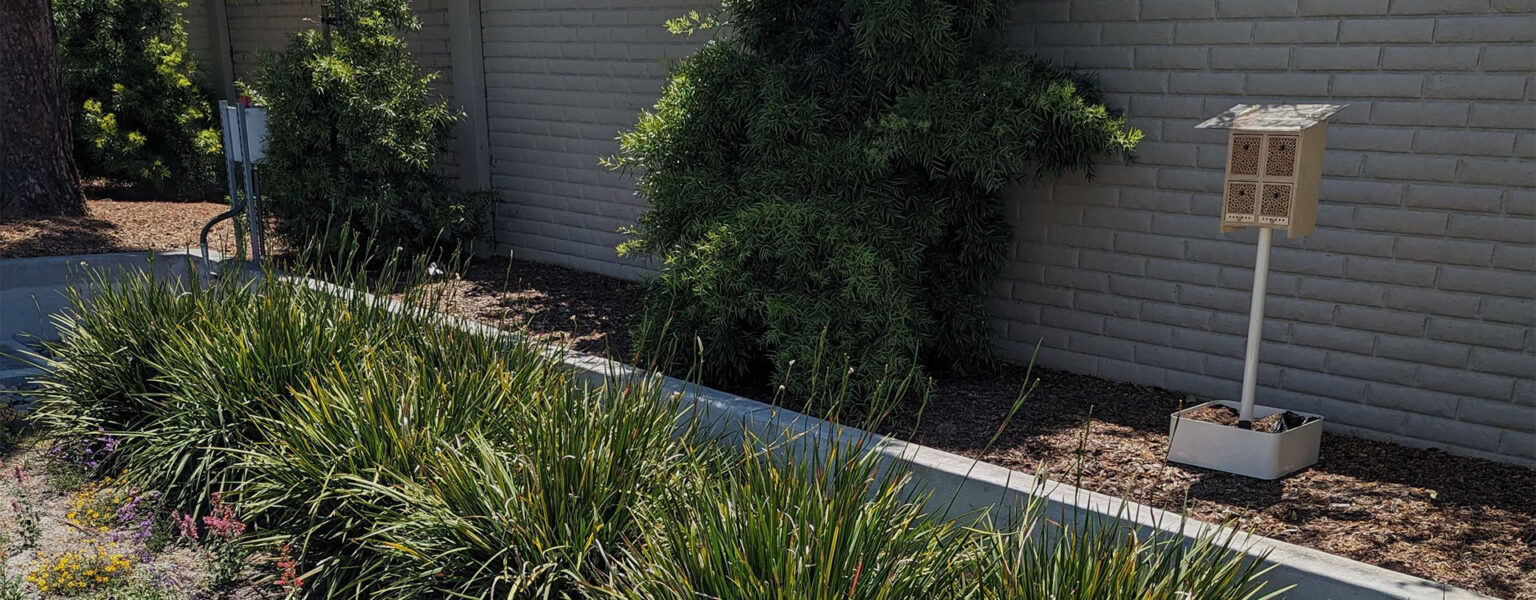 The benefits of urban beekeeping | Alvéole