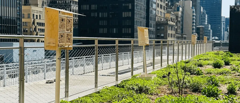 How to prepare for the GRESB 2025 biodiversity question | Alvéole